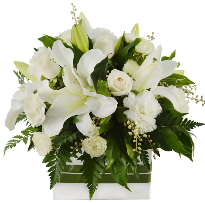 Australia's Native Flowers: A Complete Guide | The Flower Company