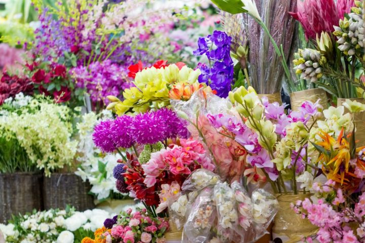 Floriography in Australia: The Secret Language of Flowers Down Under ...